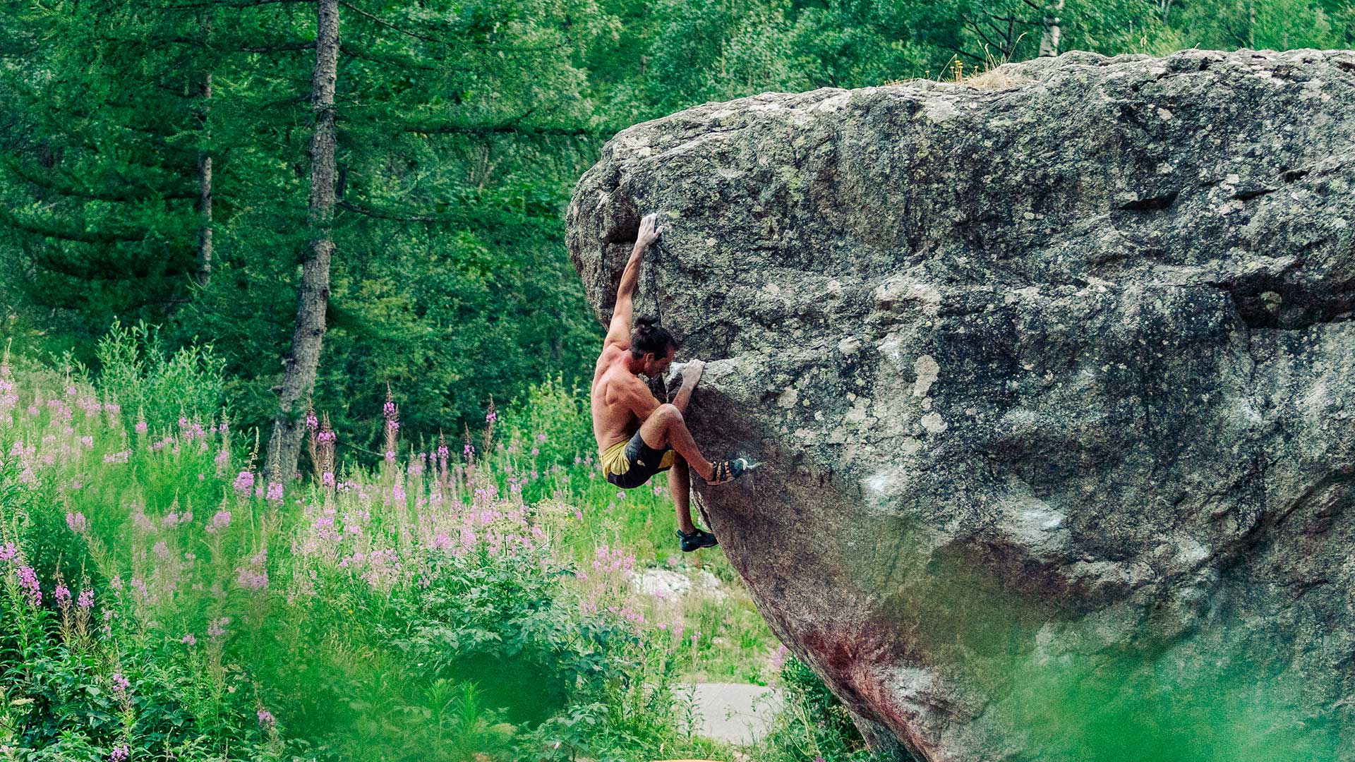 All products - Collection | YY Vertical